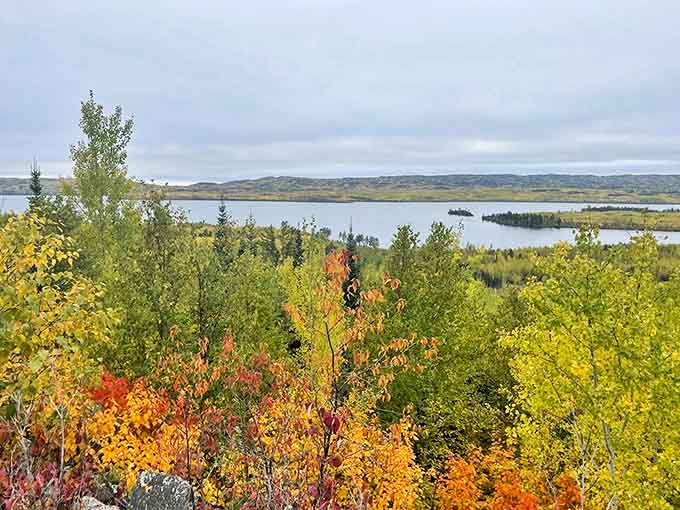 Fall paints the landscape in warm hues, as if nature decided the regular green palette needed a seasonal makeover.