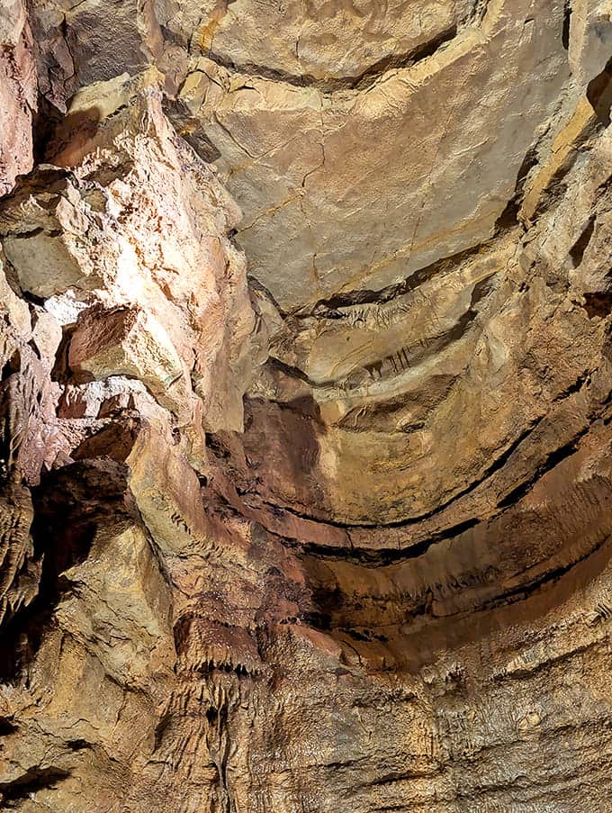 Mystery Cave's dramatic ceiling formations have been slowly crafted by water and time, creating a natural cathedral beneath the Minnesota soil.