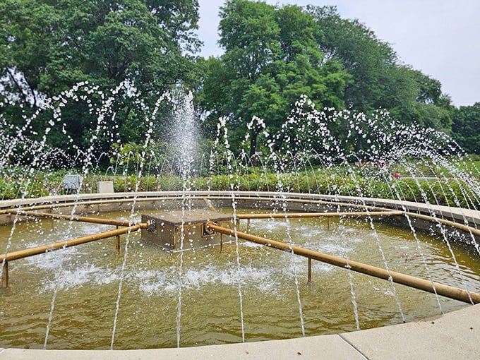 Up close, the fountain's dancing water catches the light and creates its own little show, proving that good design works at every scale.