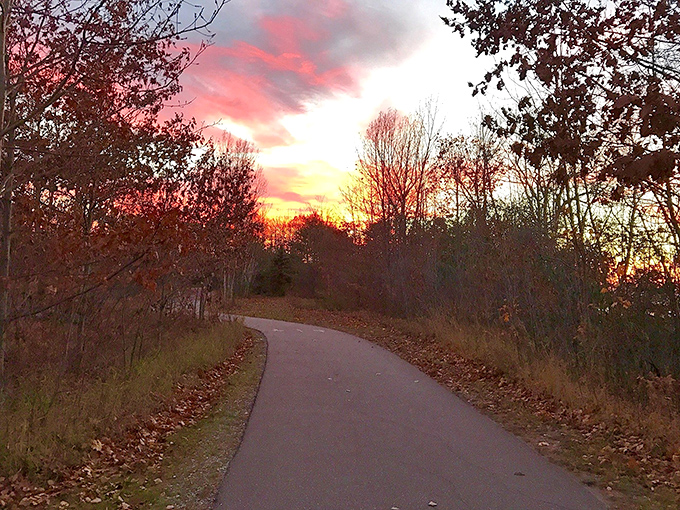 Sunset transforms this woodland path into a golden corridor, where every turn promises new magic as day surrenders to evening.