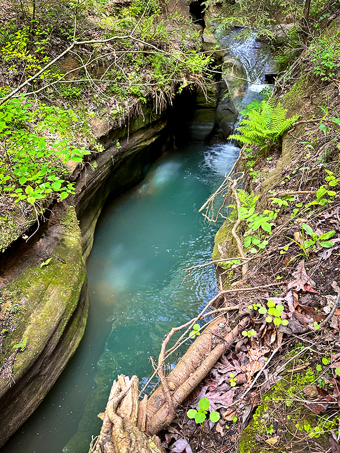 Devil's Bathtub swirls hypnotically, a natural whirlpool carved by water's patient artistry over countless millennia.