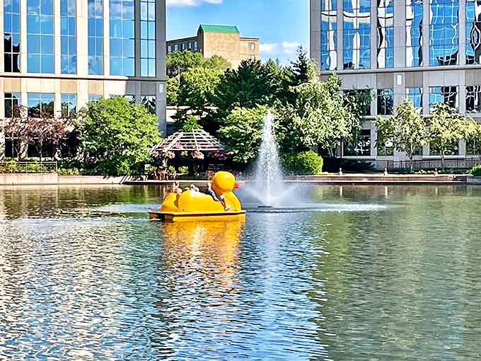 Yellow duck paddle boats bring whimsy to the water, combining childhood nostalgia with adult-sized fun as they glide past corporate buildings with playful defiance.