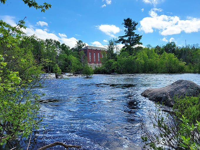 A tiny songbird announces spring's arrival, nature's own soundtrack designer for your waterfall adventure.