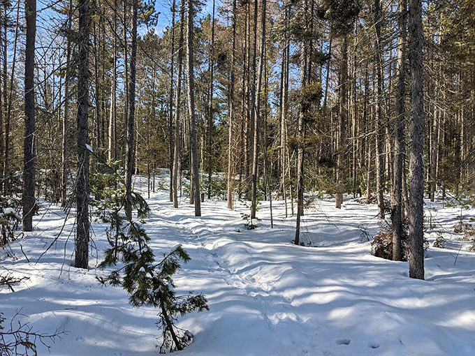 Winter transforms the trail into a snow-covered wonderland, where each step breaks the pristine surface with a satisfying crunch.