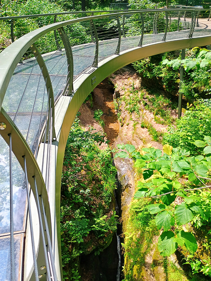 Engineering meets enchantment on this curved walkway, offering vertigo-inducing views that make your Instagram followers think you've left Ohio.