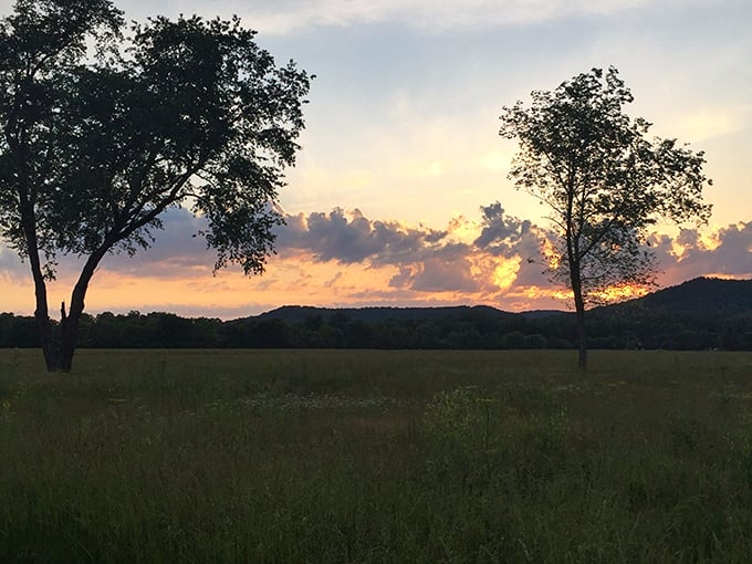 Golden hour in Chillicothe hits different, painting everything in warm light that makes even your phone photos look professional.