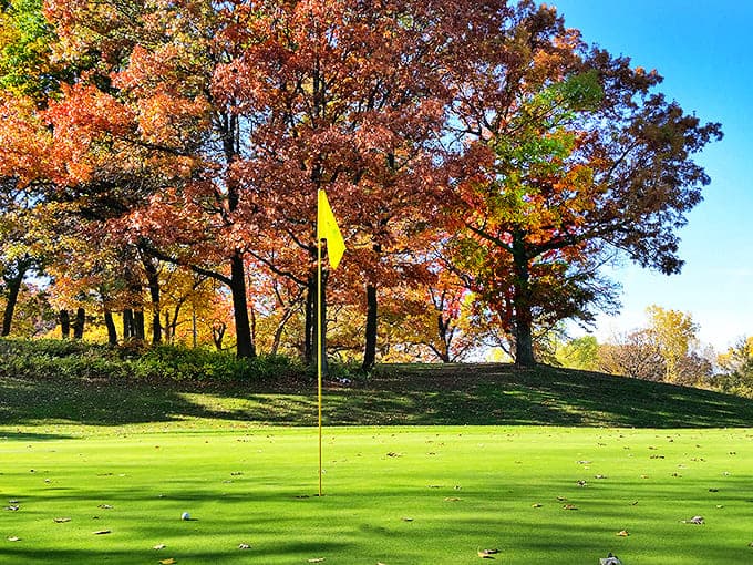 Morning light bathes the emerald fairway, while distant skyscrapers remind golfers they're enjoying wilderness within city limits.
