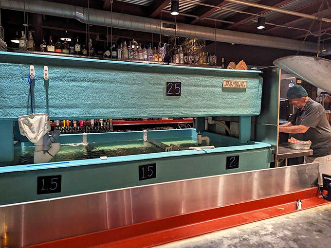 The lobster tank isn't for show, it's a promise of freshness that says, "Yes, we're in Minnesota, and yes, these lobsters are still having a good day."