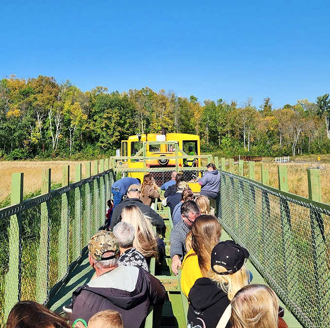 Adventure in the open air &ndash; passengers soak in unfiltered wilderness views from the observation car, wind in their hair, smiles on faces.