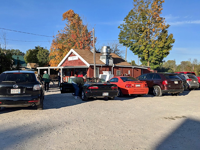 An afternoon rush at the local drive-up, where a gravel lot and good food are all it takes to draw a hungry crowd.
