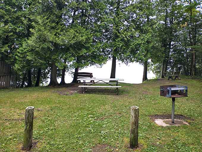 The perfect spot for creating memories over shared meals, where food somehow tastes better with a side of fresh air.