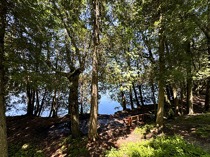 Shaded resting spots along the trails offer perfect places to catch your breath and soak in the surrounding natural beauty.
