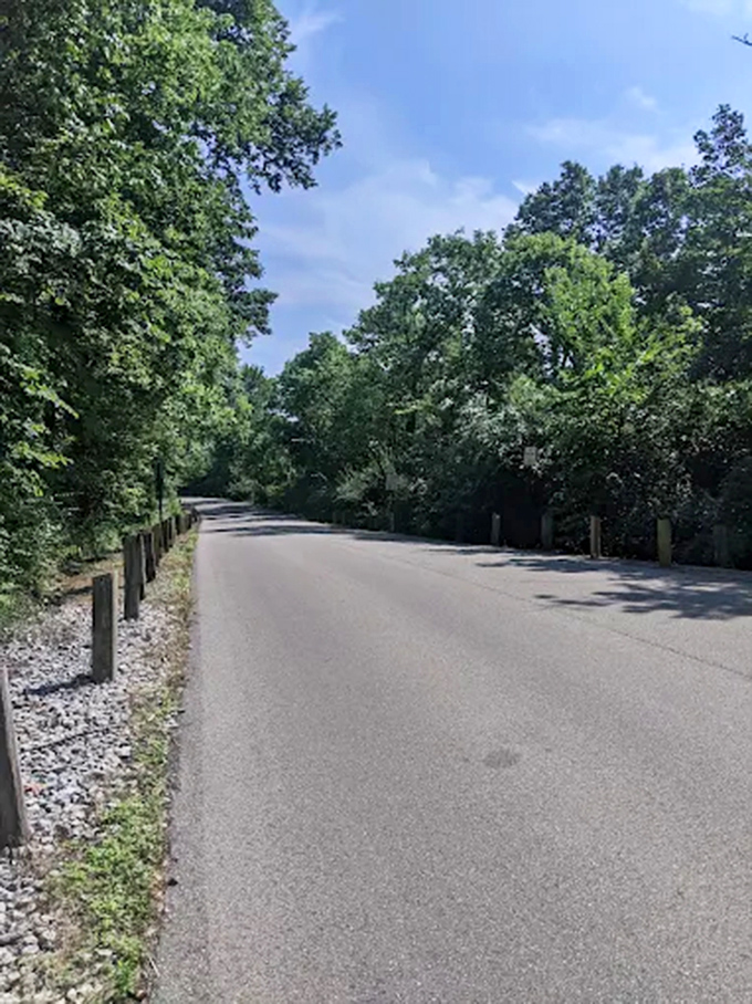 The unassuming road leading to Mount Storm Park gives no hint of the medieval surprise waiting among the trees.
