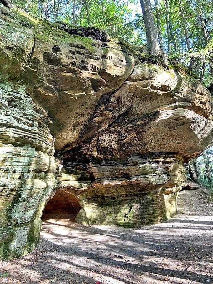 Centuries of wind and water sculpted this sandstone into nature's art gallery, creating formations that spark imagination and wonder.