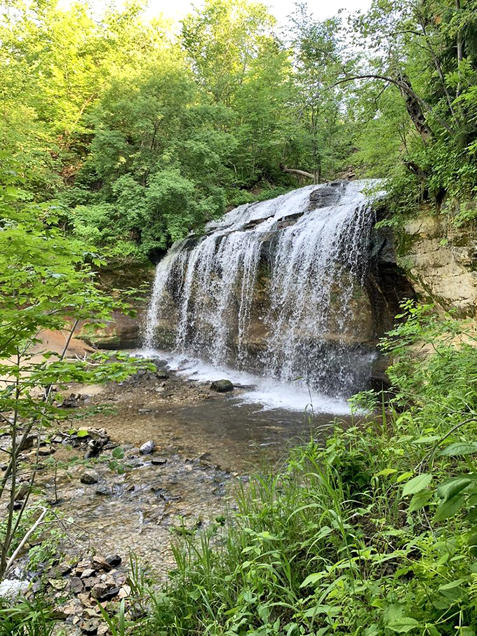Summer's verdant setting creates the perfect frame for the falls, where every shade of green complements the white cascade.