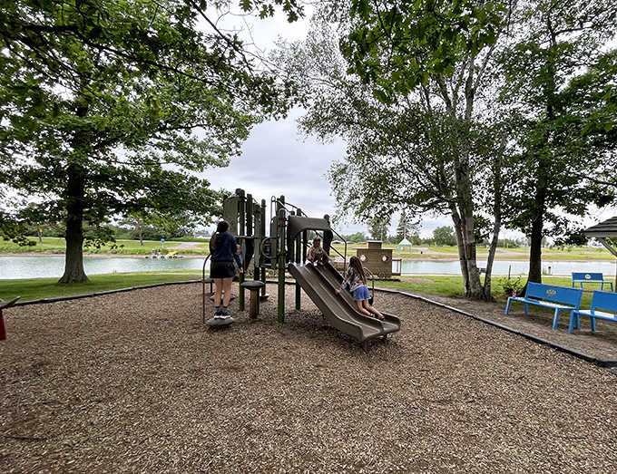 Rotary Island Park: Where childhood memories are made – this waterfront playground offers the perfect energy-burning stop for families exploring the riverfront area.