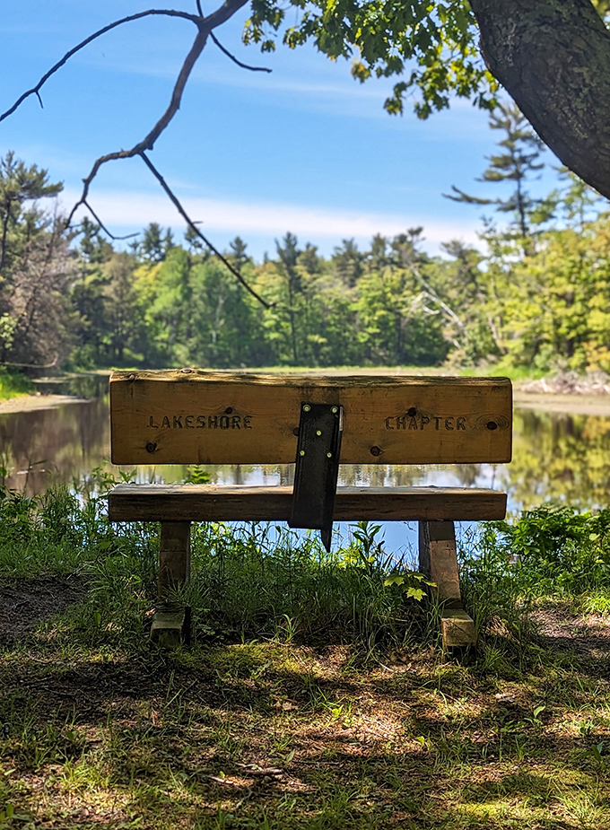 A simple bench overlooking still waters offers the kind of peaceful moment that expensive meditation apps try desperately to simulate.