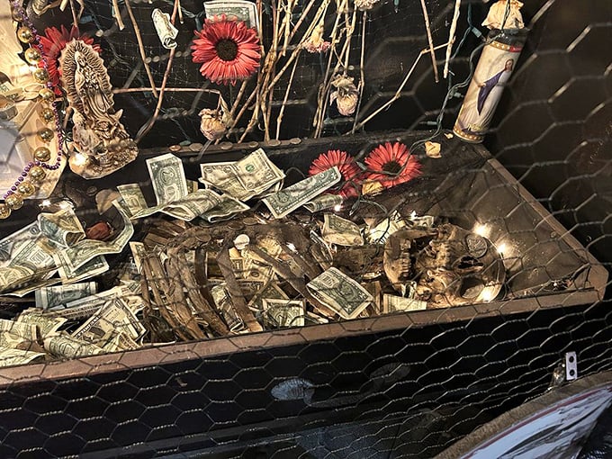 This mounted deer head with its skeletal friends creates an unlikely duo, like a buddy comedy nobody asked for but everyone secretly needs.