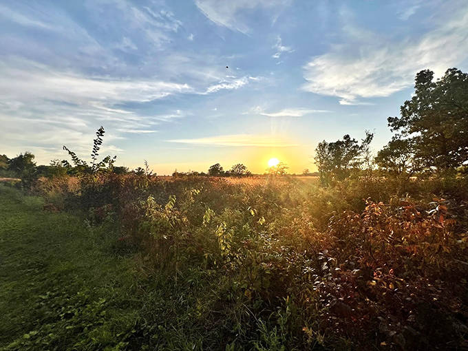 Golden hour magic turns ordinary prairie into extraordinary landscape. No filter needed when nature brings its A-game.