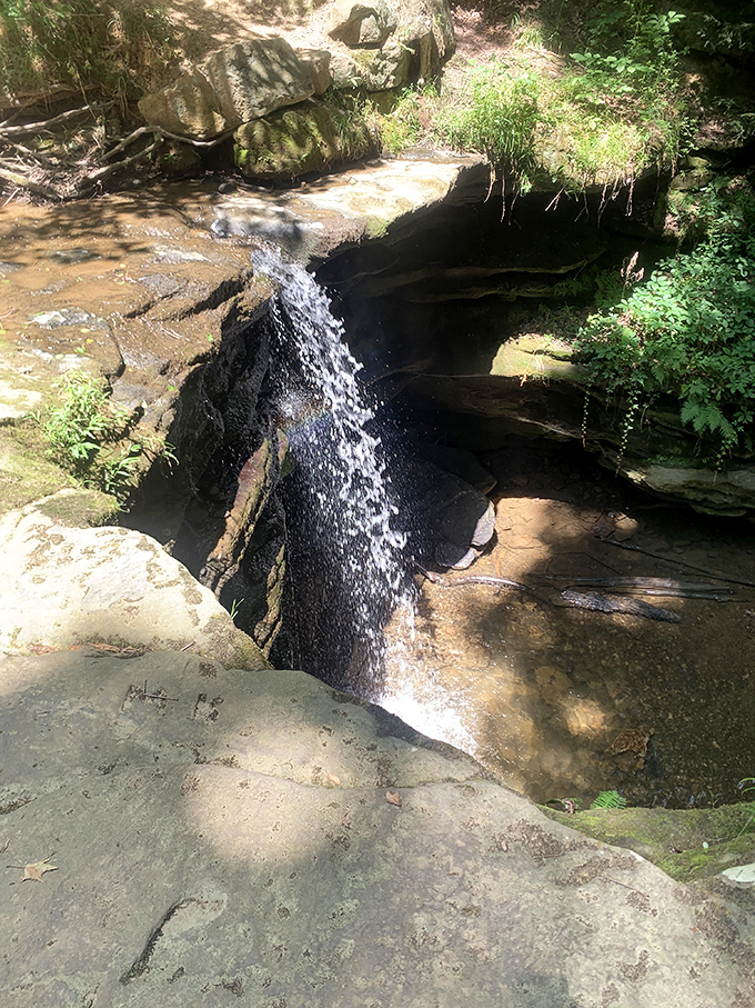 A gentle cascade tumbles into a serene pool, the kind of spot that makes you want to kick off your shoes and wade in.