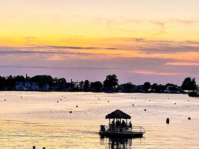 A tiny tropical island adrift in the vastness of Lake Erie, creating an irresistible silhouette against the pastel evening sky.