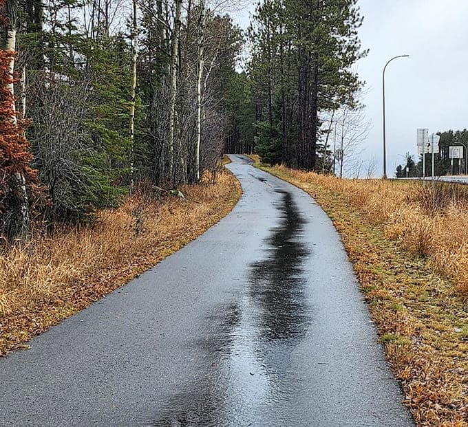 After a refreshing rain, the trail glistens like polished obsidian, reflecting the sky and surrounding trees in its mirror-like surface.