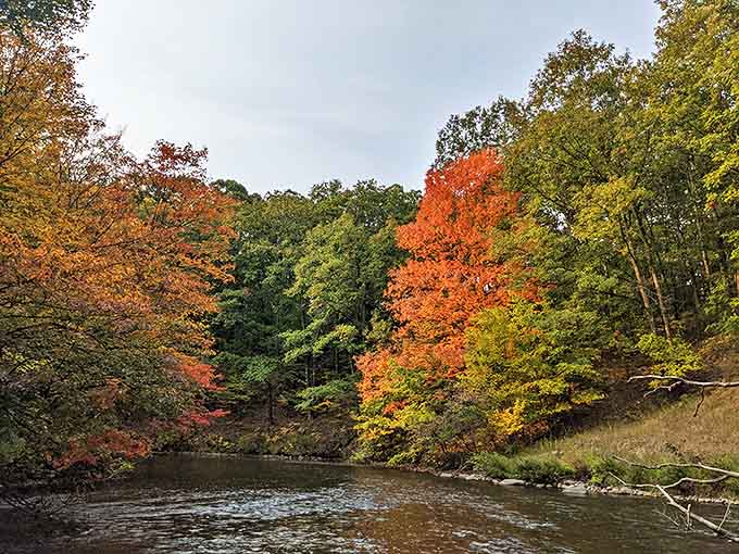 Autumn transforms the White River into a flowing canvas of reflected color, where every paddle stroke disturbs a masterpiece.
