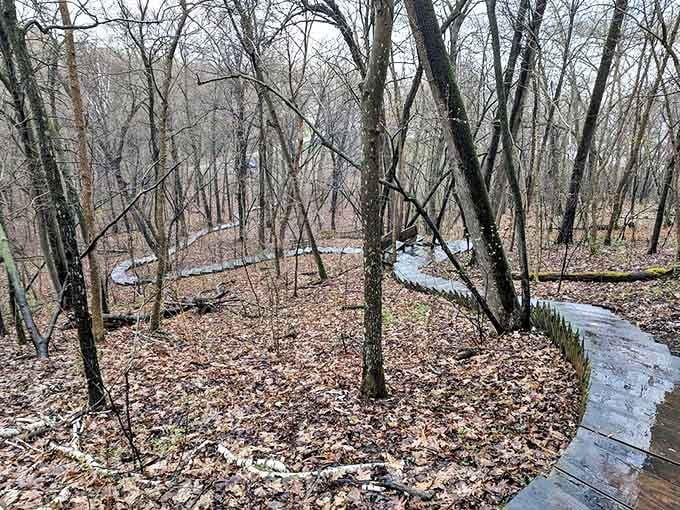 Winter reveals the park's hidden architecture &ndash; a wooden boardwalk snaking through leafless trees like a secret passage.