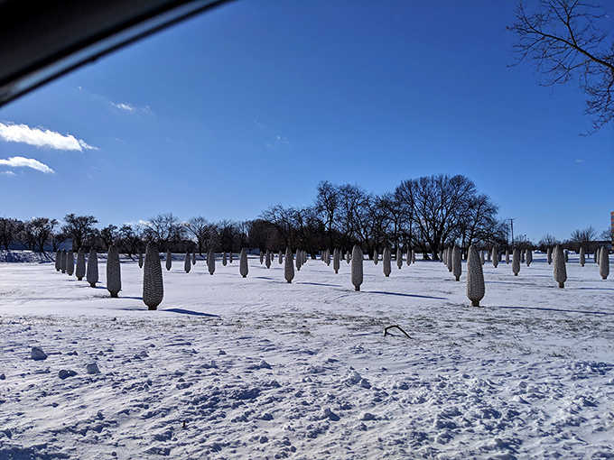 Winter transforms the Field of Corn into a snow-dusted wonderland, the white sculptures nearly camouflaged against their frosty surroundings.
