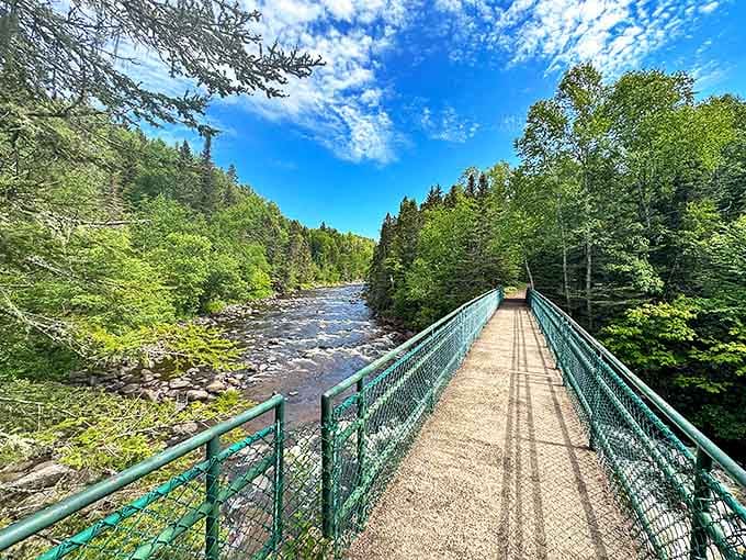 A sturdy footbridge spans the rushing river, offering spectacular views while connecting hikers to trails on both sides of the water.