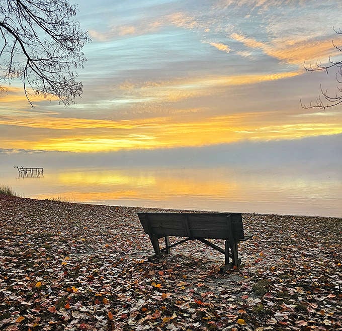 Autumn transforms Higgins Lake into a meditation spot, where fallen leaves and golden light create nature's most perfect waiting room.