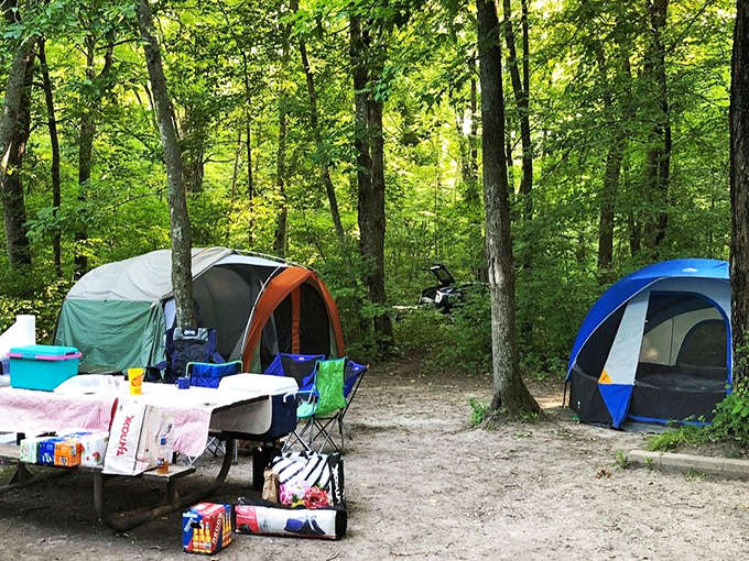 Camping at Forestville offers wilderness with convenient amenities &ndash; like frontier living but with significantly less risk of dysentery.