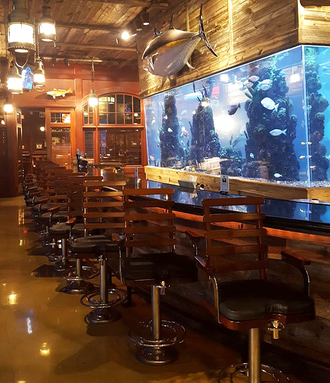 The bar area, complete with mounted fish trophies and aquarium views, offers front-row seats to underwater spectacles while you sip.