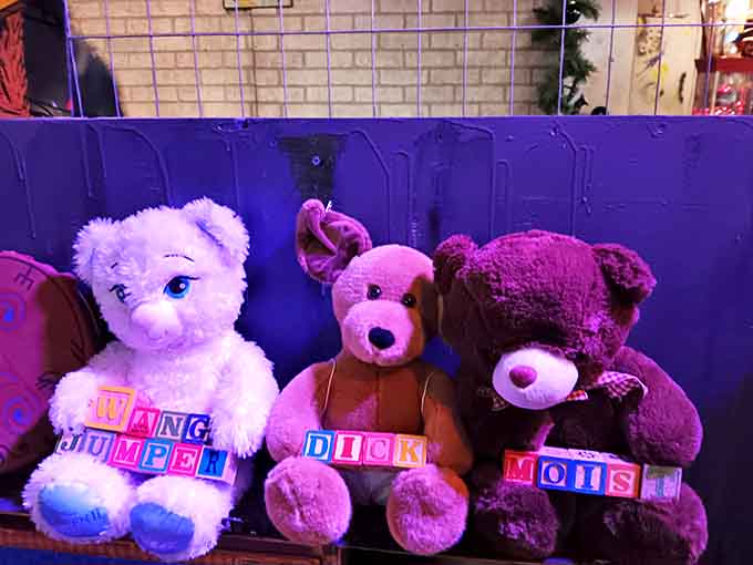 These aren't your average childhood companions &ndash; these plush bears spell out messages that would make your grandmother clutch her pearls.