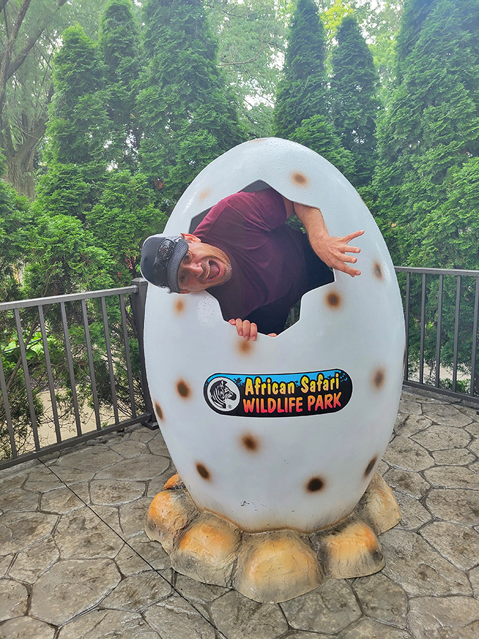 Visitors hatch their own memories inside this oversized egg photo opportunity, adding a touch of whimsy to the safari experience.