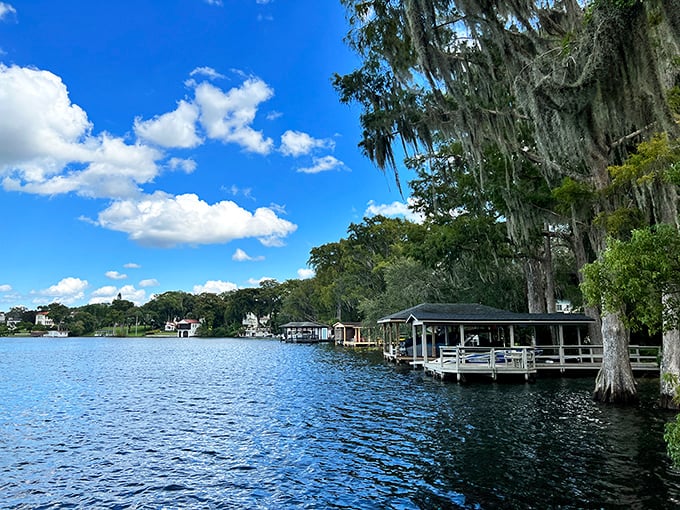 Lakeside living: Docks stretch into the blue expanse, where cypress trees stand sentinel along Winter Park's pristine shoreline.