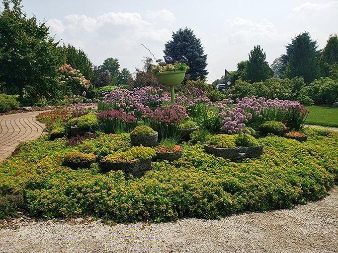 Geometric precision meets wild abandon in this circular garden bed &ndash; proof that sometimes the best garden designs combine order with chaos.