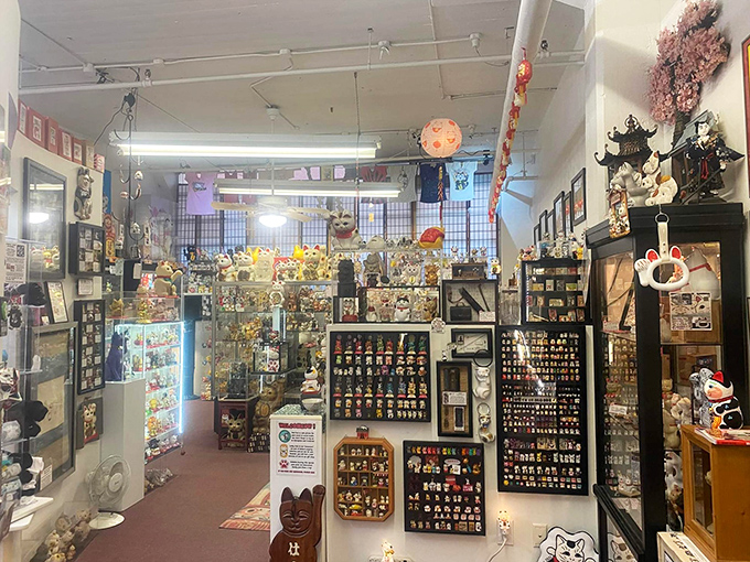 The museum's interior reveals careful organization amid joyful chaos, with thousands of cats waving from every available surface.