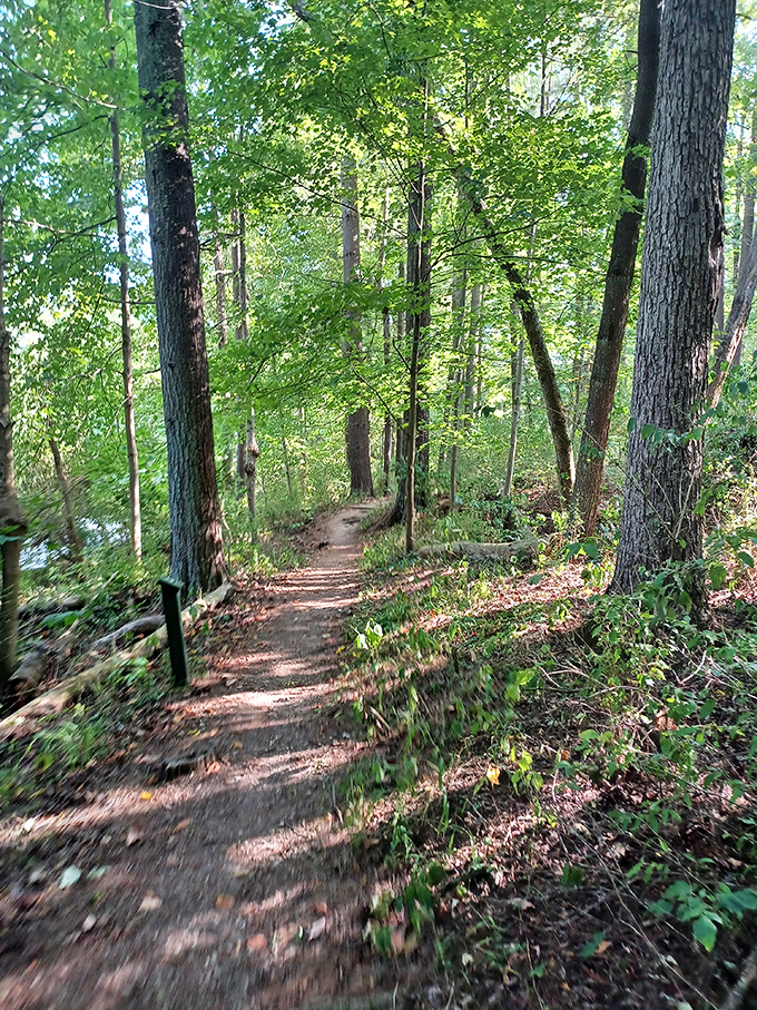 Escape the noise! Find peace and sunlight on the lovely Ridges Loop Trail in Athens. Enjoy the fresh air!