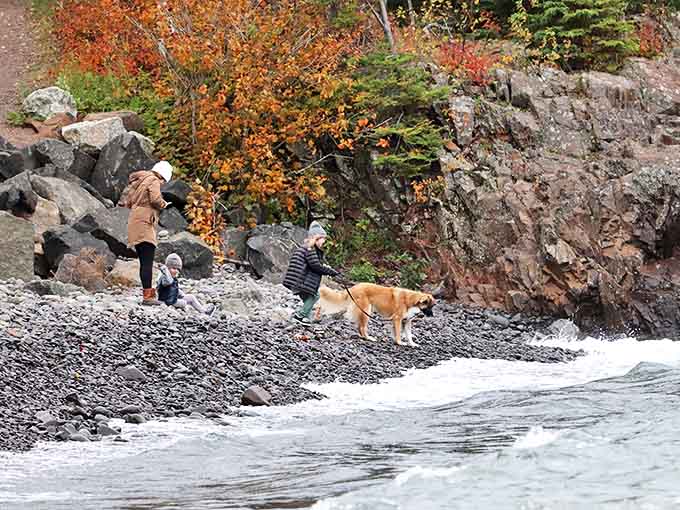 Fall adventures with four-legged friends make Pebble Beach the perfect destination for the whole family, paws included.