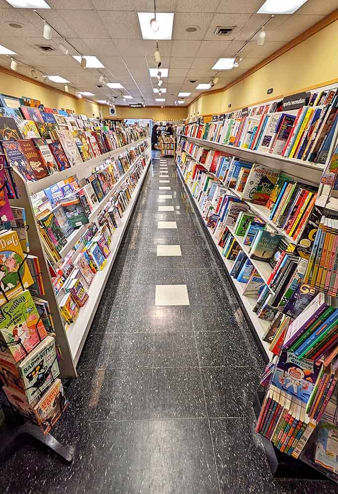 Perfectly aligned spines create a satisfying visual rhythm, each book patiently waiting its turn to be plucked from the shelf and brought to life.