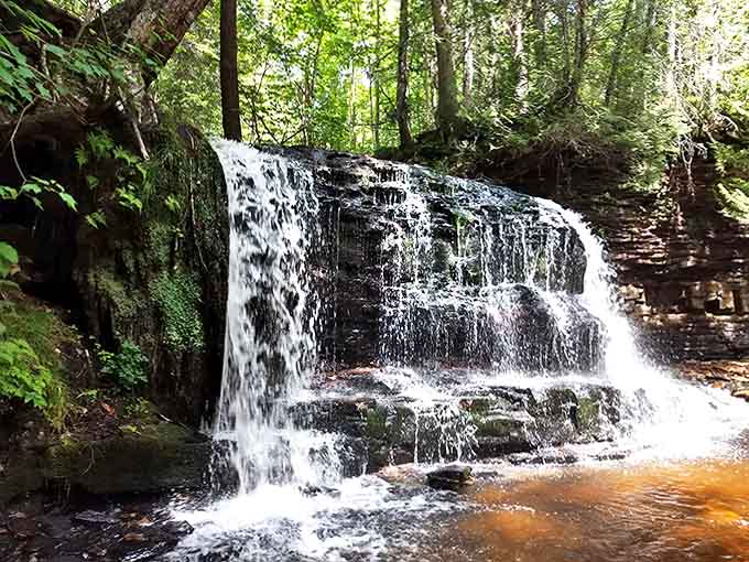 Sunlight filters through the forest canopy, transforming ordinary falling water into ribbons of liquid silver against the dark stone backdrop.
