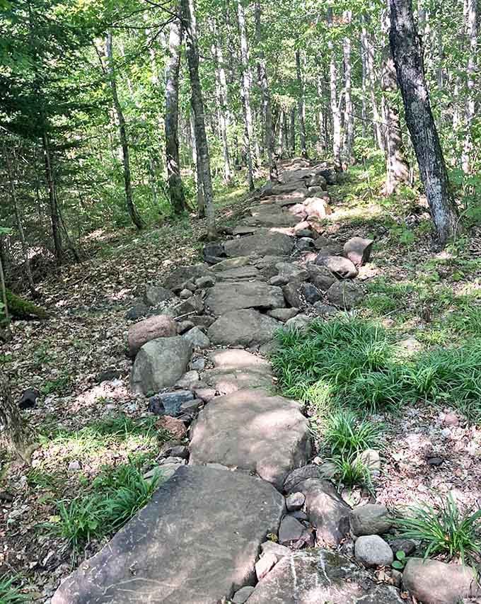 Ancient stones form a natural staircase through the forest, worn smooth by countless boots and thousands of years.