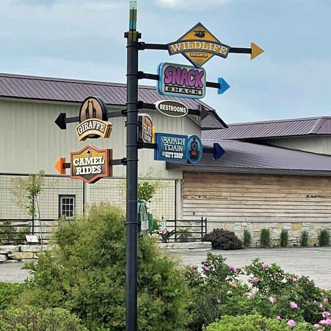 Colorful signposts point the way to adventure, ensuring no animal encounter goes undiscovered during your visit.