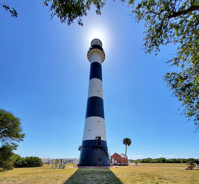 The lighthouse towers above surrounding palm trees, its distinctive bands creating that classic "I'm definitely a lighthouse" look.