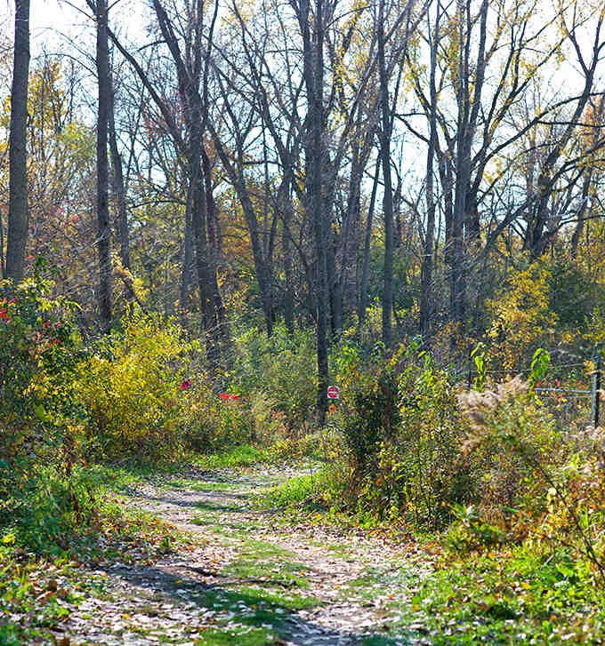 Nature's invitation to wander &ndash; this winding trail through Minneopa's autumn woods promises discoveries around every bend.