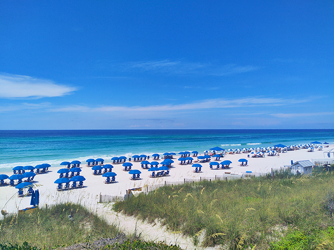 Blue umbrellas stand at attention like a well-organized army, ready to defend beachgoers from Florida's enthusiastic sunshine.