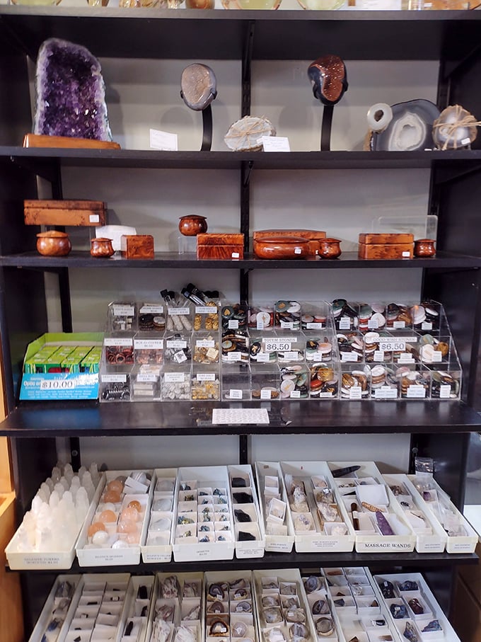 From delicate selenite wands to rugged geodes, the shop's collection spans the full spectrum of Earth's mineral masterpieces.