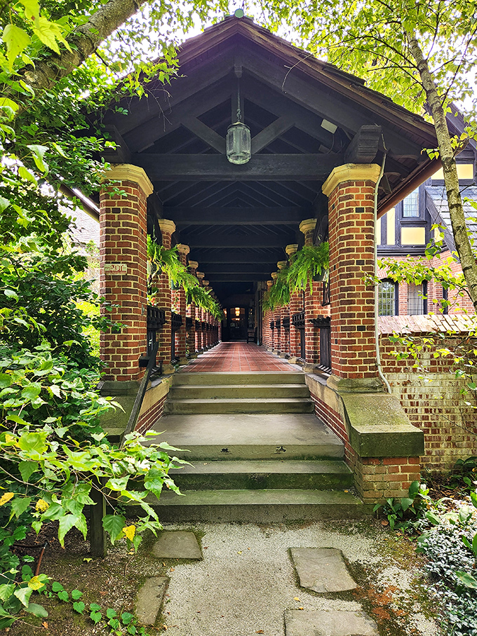 Hanging ferns line this covered walkway, creating a lush green tunnel that feels like nature's version of a grand hotel corridor.