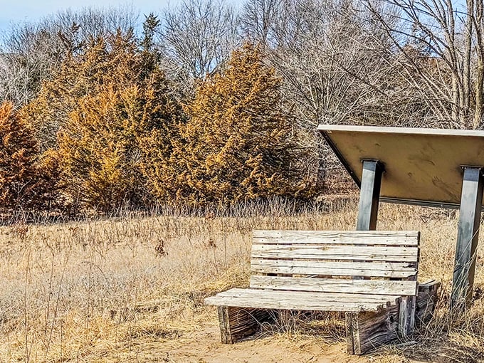 This weathered bench sits patiently, collecting stories from hikers and holding space for moments of quiet contemplation.